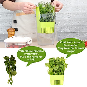 2 Pack Fresh Herb Keeper for Refrigerator, Clear BPA-Free Herb Saver, Storage Container for Cilantro, Parsley, Thyme, Mint & Asparagus, Preserver Keeps Fresh Herbs for 3 Times Longer, Green & Blue