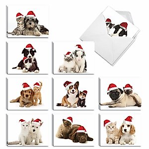 The Best Card Company - 20 Christmas Thank You Cards Boxed (10 Designs, 2 Each) - Assorted Gratitude Cards (4 x 5.12 Inch) - Christmas Copy Cats AM6596XTG-B2x10