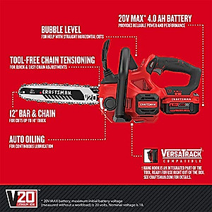 CRAFTSMAN V20* Cordless Chainsaw, 12-Inch (CMCCS620M1)