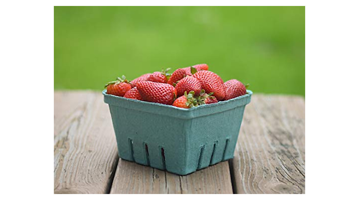 Eco-Friendly 42 Pack Green Molded Pulp Berry Baskets for Produce