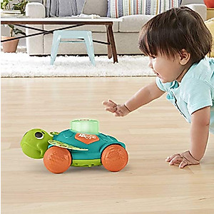 Fisher-Price Linkimals Sit-to-Crawl Sea Turtle