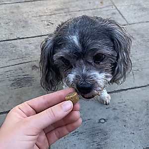 WINPRO Pet Health & Wellness Chews for Small Dogs, 60 Soft Chews, Plasma Powered, Grain Free Supplement for Small Dogs Providing Vitality and Immunity Support