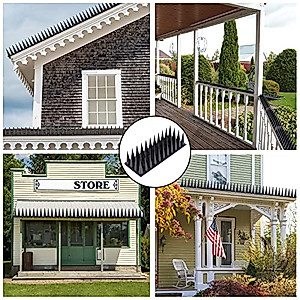 Bird Spikes, 20 Packs Bird Deterrent, Raccoon and Squirrel Deterrent, for Outdoor Repelling Birds and Reptiles, Squirrel Spikes for Fences and Roofs to Keep Birds Away