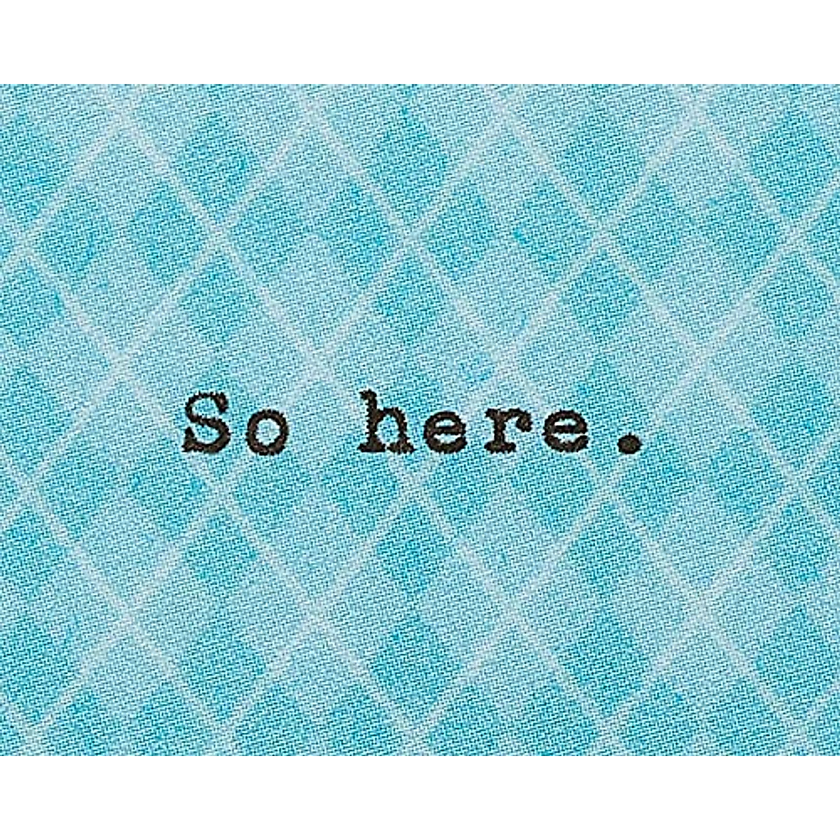 American Greetings Funny Birthday Card (Cat Wearing Argyle Sweater)