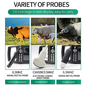 JeeKoudy Veterinary Ultrasound Scanner Machine, Handscan Vet Smart B-Ultrasound Machine Rechargeable Machine for Pig Horse Cow Pregnancy Animals Pets
