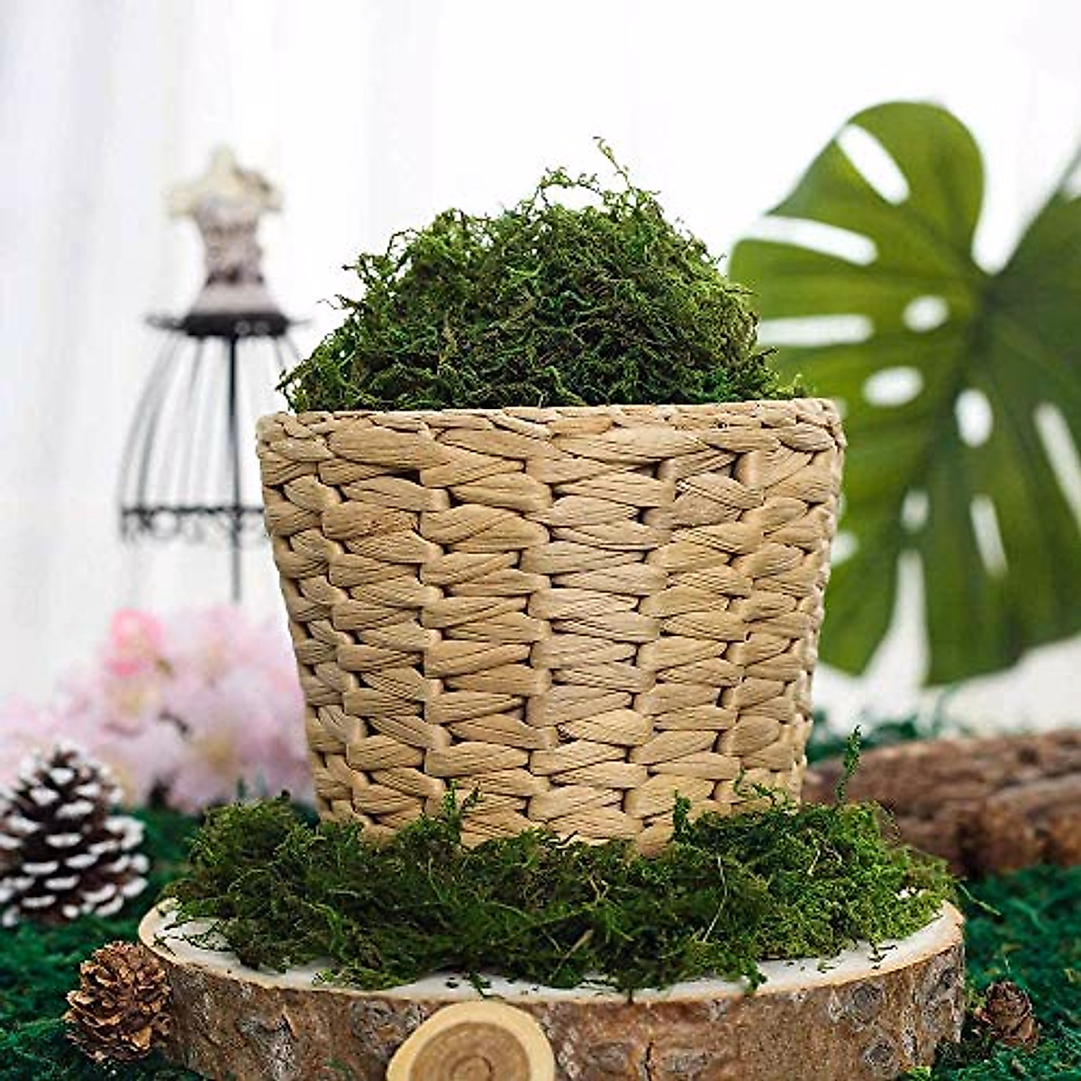 Farmoo Fake Moss for Crafts, Artificial Green Moss for Potted Plants Centerpieces Decor (3.5OZ)