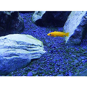 Cichlid Lake Salt, 1 kg / 2.2 lbs