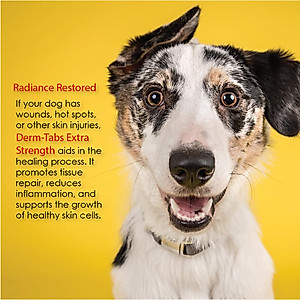 Derm Tabs Regular Strength for Dogs - Natural Oil, Vitamins, Minerals, and Antioxidants - Support Healthy Skin and Reduce Shedding - 120 Chewable Tablets
