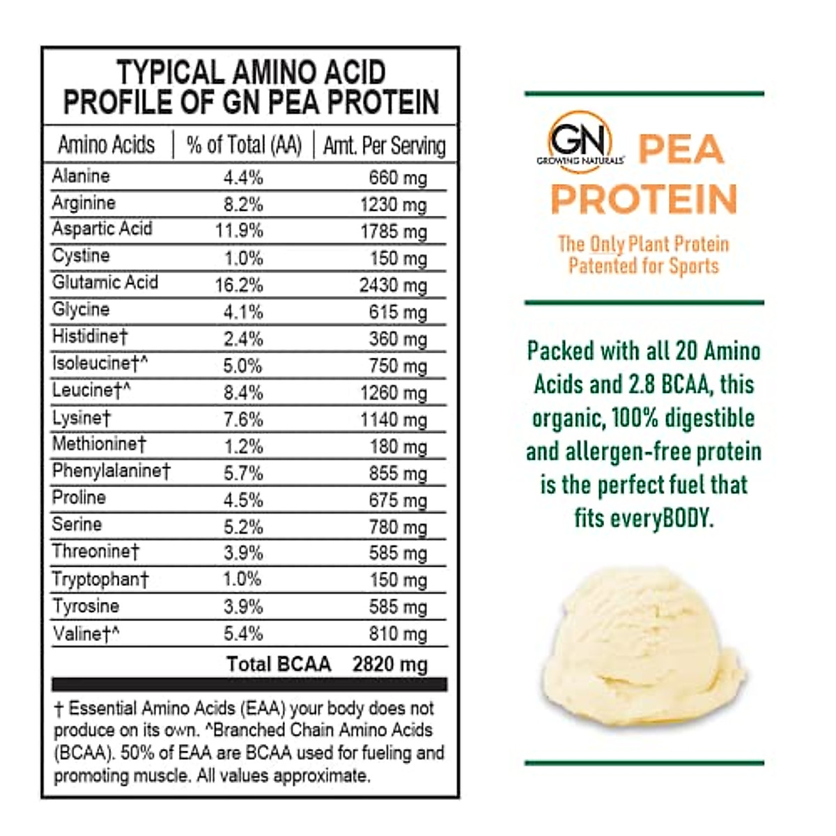 Growing Naturals Raw Pea Protein Powder, Vegan Plant Based Protein, BCAA, Low-Carb, Low-Sugar, Vanilla Blast, 2 Pound (Pack of 1)