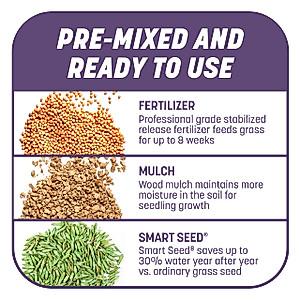 Pennington Smart Patch Dense Shade Mix 10 lb