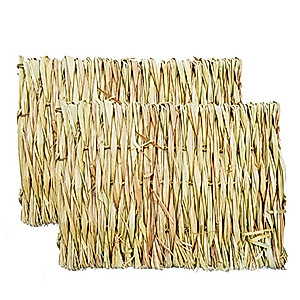 BESAZW Rabbit Mat,Grass Mats for Rabbits,Safe & Edible Rabbit Mats for Cages,Bunny Chew Toys for Rabbits (C:15.7"x11"(2 Pack))