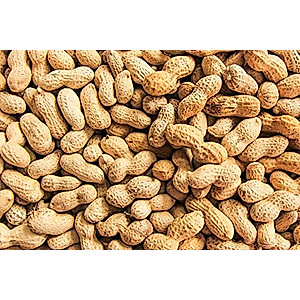 10 Peanut Seeds in The Shell for Planting - Grow Your Own Peanuts - Outdoor Home Gardens | Planting Instructions Included