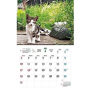 そとねこ (インプレスカレンダー2022)