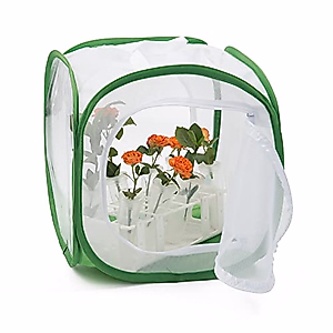 Two Doors Monarch Butterfly Habitat, Insect Mesh Cage, Caterpillar Enclosure Terrarium Pop-up (12 X 12 X 12 Inches)