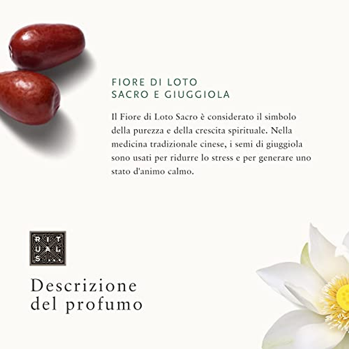 RITUALS Jing Calming Body Cream & Refill Set - Nourishing Body Cream with Sacred Lotus & Jujube - 14.8 Fl Oz