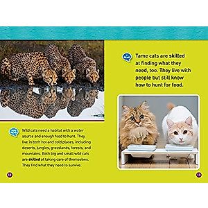 Cats (National Geographic Kids Readers, Level 1/Co-Reader)
