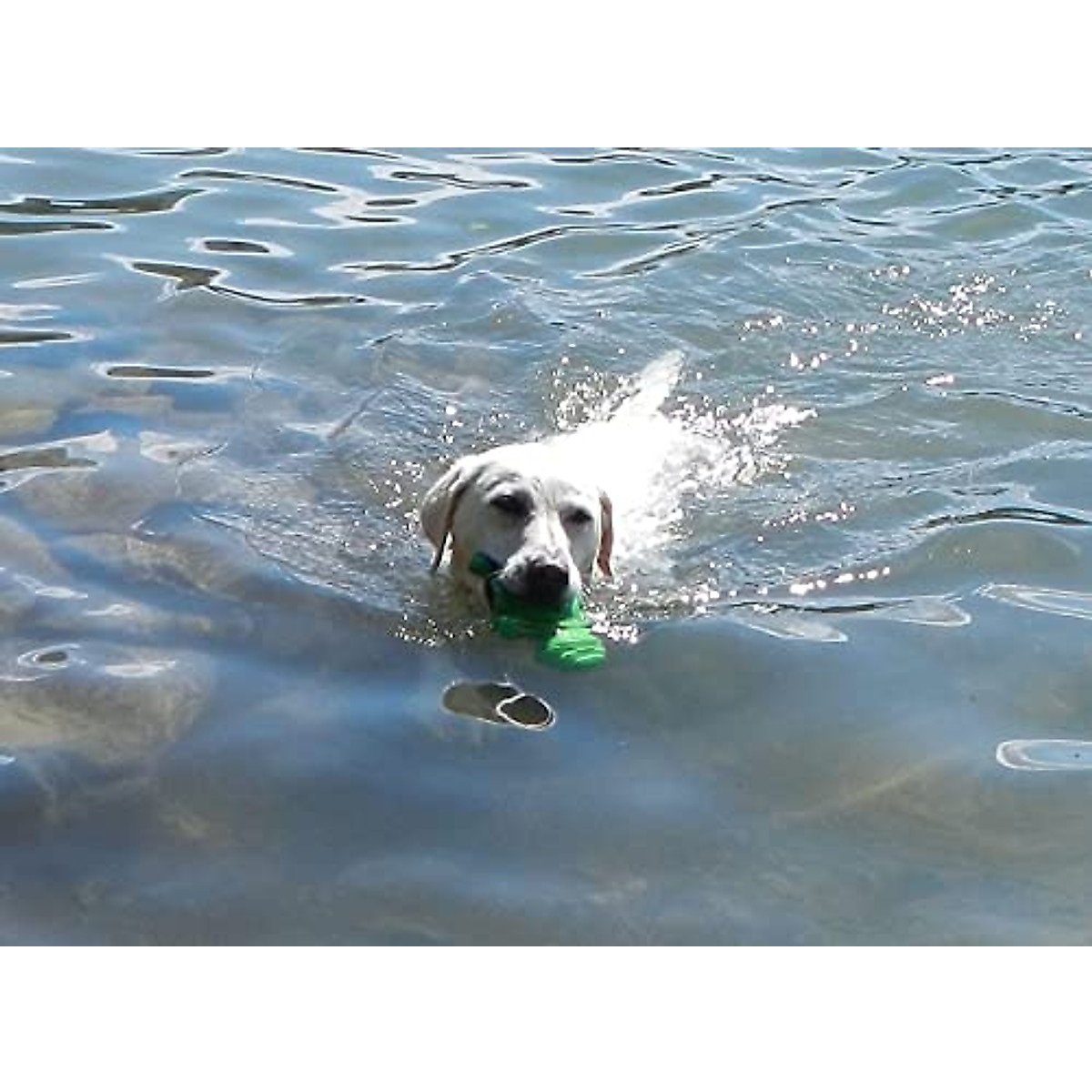 Cycle Dog Small Fuchsia 3-Play Turtle Dog Toy with Ecolast Recycled Material - Tough & Sustainable Chew Toy for Dogs & Puppies/Treat Dispenser/Floats Above Water/Indestructible for Aggressive Chewers