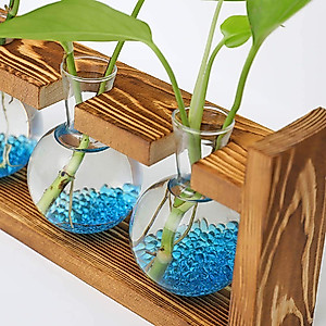 Kingbuy Plant Propagation Station Glass Terrarium Planter Flower Vase with Retro Solid Wooden Stand for Home Kitchen Indoor Garden Wedding Desktop Decor, 3 Bulb Vase