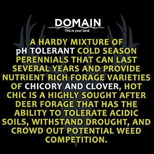 Domain Outdoor Hot Chic Food Plot Seeds for Deer, Chicory - 2 Varieties of Clover, Great to Plant in Spring or Fall, Hardy Mixture of PH Tolerant Perennials, Can Last Several Years, 1/2 Acre