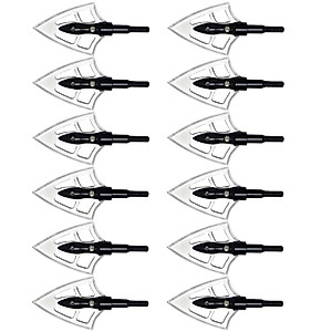 12Pcs Stainless Steel 100 Grain Broadheads 2 Blades Hunting Tips for Crossbow Compound Bow Archery Hunting