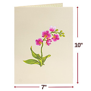 Paper Love 3D Pop Up Flower Bouquet Card, with Orchids Forever Flowers Keepsake, Gift For Birthday, Mothers Day, Get Well, Thank You, All Occasion or Just Because - Oversized 10" x 7" Cards - Includes Envelope And Note