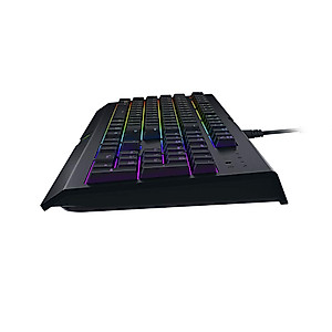 Razer Holiday Bundle 2018 Cynosa Chroma Gaming Keyboard, Abyssus Gaming Mouse, Goliathus Chroma Mousepad