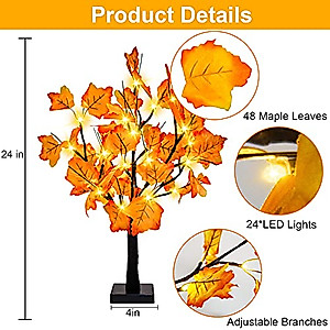 2 Pack 24-inch Fall Lighted Maple Tree, 48 LED Lights, Thanksgiving Decoration Table Tree, Battery Operated DIY Artificial Tree, Centerpieces Decor Tree for Home Desktop Autumn Harvest Tabletop Indoor