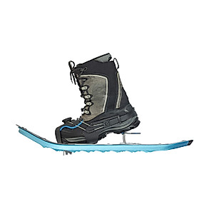 Denali Winter Sports | Sawtooth Spin Snowshoe Kit | 8 x 25 | Aluminum Trekking Poles | Carry Shoe Bag | Outdoor Snow Shoes
