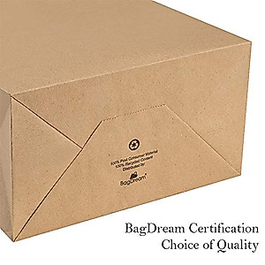 BagDream 10x5x13 Kraft Shopping Bags 100Pcs Brown Paper Bags Paper Gift Bags, Merchandise Bags, Retail Bags, Party Bags, 100% Recycled Paper Bags with Handles Bulk