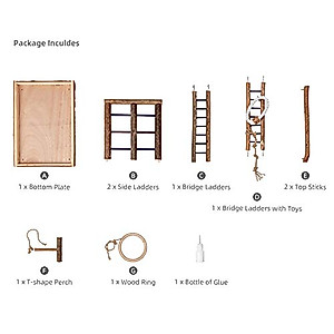 Niteangel Natural Living Playground for Birds, Bird Activity Center