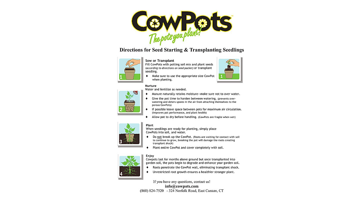 CowPots CP4-12 Square 4-Inch Plantable Pots for Healthy Seed Starts