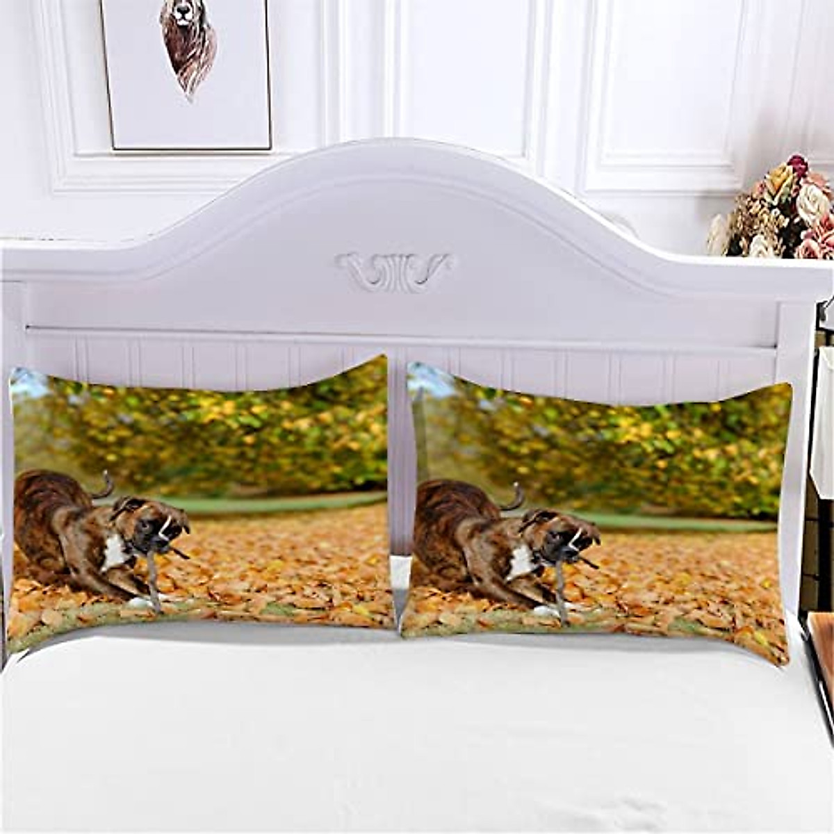 Quilt Cover Queen Size Boxer Dog 3D Bedding Sets Autumn Leaves Duvet Cover Breathable Hypoallergenic Stain Wrinkle Resistant Microfiber with Zipper Closure,beding Set with 2 Pillowcase