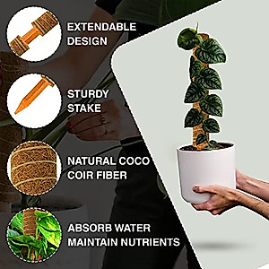 Moss Pole for Plants Monstera - 51.1” Stackable Plant Poles for Potted Plants Indoor and Outdoor (4 Pcs) – 16.9” Long Natural Coir Moss Sticks with Garden Twist Ties and Jute Rope