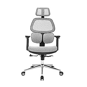 HOUKAI Executive Office Chair - High Back Office Chair with Footrest and Thick Padding - Reclining Computer Chair with Ergonomic Segmented Back, Black (Color : C)