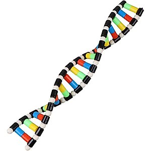iplusmile DNA Models Double Helix Structure Models DNA Double Helix Modesl Kit Biological Science Popularization Teaching Aids for DNA Assembling