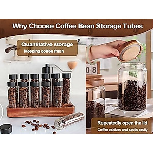 Single Dose Coffee Bean Storage Tubes - 12pcs Coffee Beans Container,Coffee Vials dosing container,glass espresso container with Wood Display Stand and Funnel(Tube1)