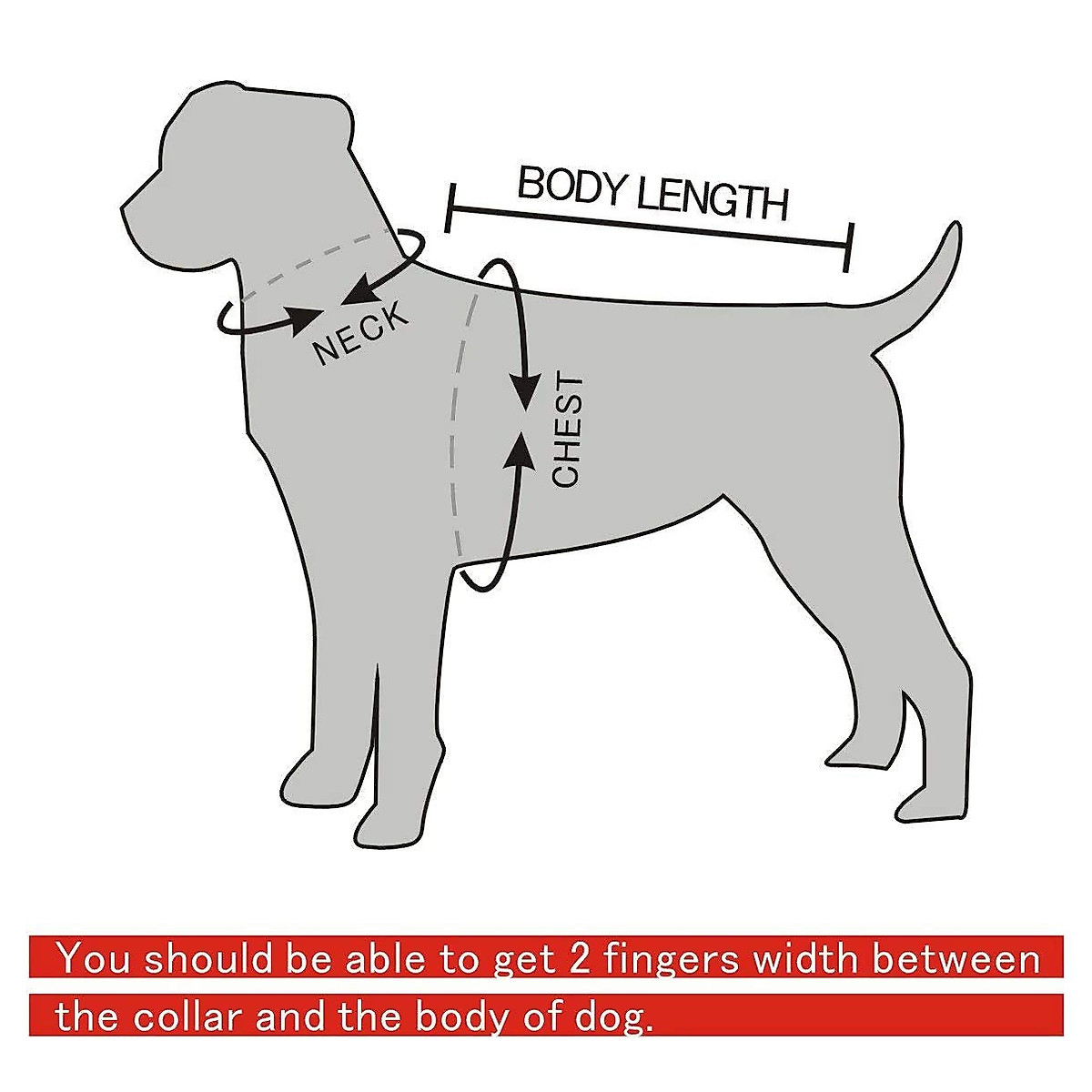 Berry Pet Leather Spikes Studded Medium & Large Black Dog Collar & Leash & Harness 3 Pcs Set for Pitbull Boxer