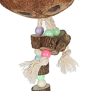 Parrot Coconut Shell Swing Parrot Swing Toy Bird Chewing Toy Nature Wood Stand Parrot Cage Bite Toys for Small Medium Birds