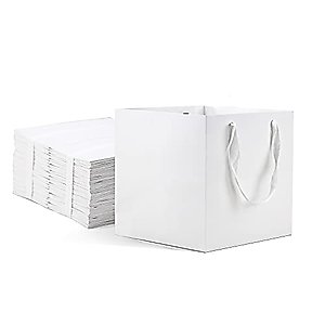HUAPRINT White Paper Bags with Handles,Gift Bags Bulk 12 Pack,10x10x10inch Large Square Size,Paper Shopping Bags, Kraft, Party, Favor, Birthday,Goody, Take-Out, Merchandise, Retail Bags