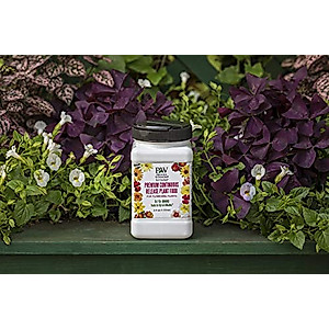 Proven Winners ZZFTMR101ZF0 Continuous Release Fertilizer, 2.5 lb