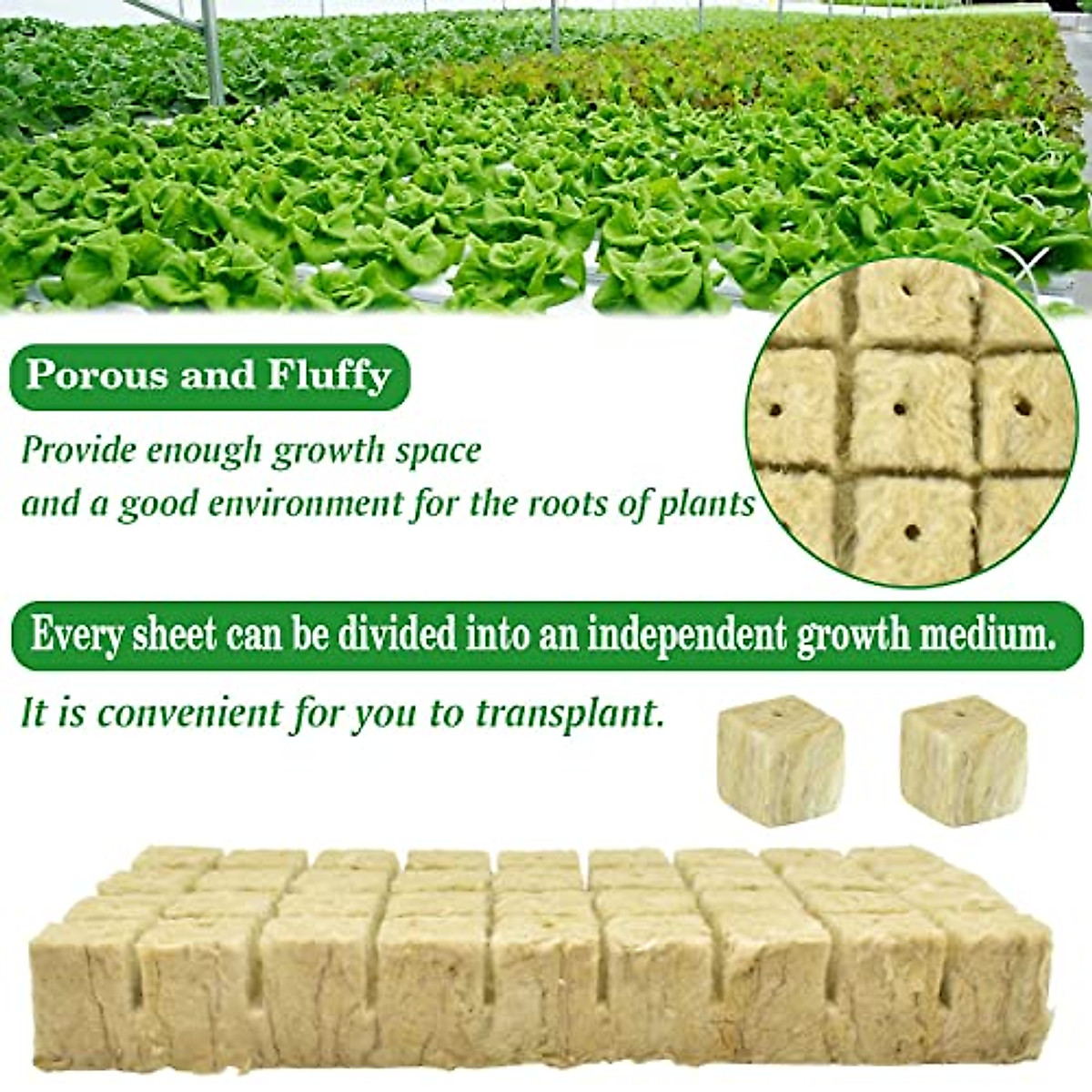 Halatool 1.2 inch Rockwool Cubes 2 Sheets Fluffy Porous Hydroponics Planting Cubes for Soilless Cultivation Seedlings Cuttings Clone Plants (72 Plugs Total)