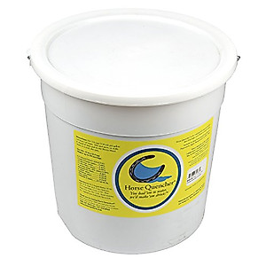 Horse Quenchers Apple Jug, 13 Pounds