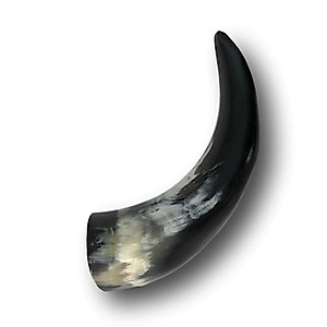 6-8" Polished Water Buffalo Horn