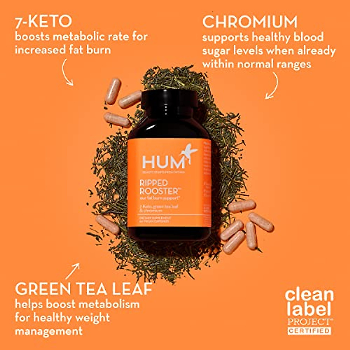 HUM Ripped Rooster - Natural Green Tea Fat Burner Supplement to Boost Metabolism & Control Cravings - 7 Keto DHEA + Chromium Polynicotinate to Support a Healthy Diet & Weight Management (60 Capsules)