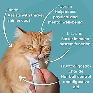 Kitty Up - Lickable Cat Treat Pouches for Indoor Cats - All Natural Tuna Puree Tube Treats - Kitten and Senior Soft Wet Cat Food - Limited Ingredient - Grain Free, Lysine, Taurine; 12 tubes .05 oz ea.