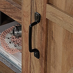 Sauder Misc Entertainment Credenza, L: 15.28" x W: 62.68" x H: 26.77", Sindoori Mango Finish