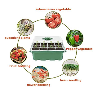 MYLTW 5 Pack Seed Starter Tray Seedling Tray Kits,Adjustable Humidity Plant Starter Dome and Base Greenhouse Grow Trays for Seeds Growing Starting(12 Cells Per Tray