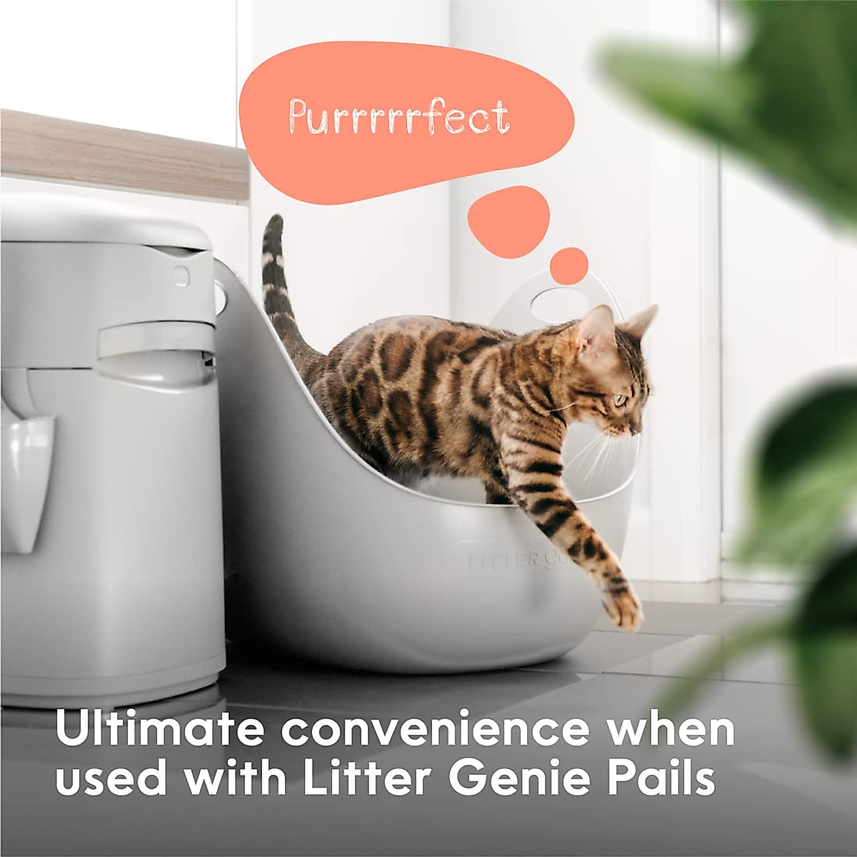 Litter Genie Cat Litter Box | Made with Flexible, Soft Plastic | Features High-Walls and Handles for Privacy and Portability