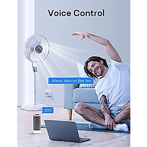 Smart Plug, Alexa Plug 2 Packs, Smart Plugs That Work with Alexa and Google Home, Smart Life WiFi Plug with Remote&Voice Control, Timer Plug(2.4GHz Only)