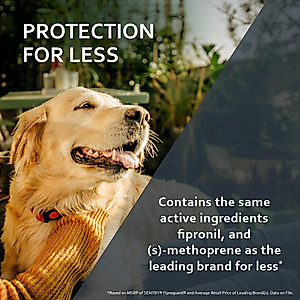 Sentry Fiproguard for Dogs, Flea and Tick Prevention for Dogs (5-22 Pounds), Includes 3 Month Supply of Topical Flea Treatments